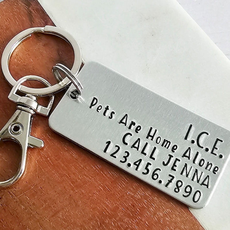 Pet is Home Alone Keyring - Etsy