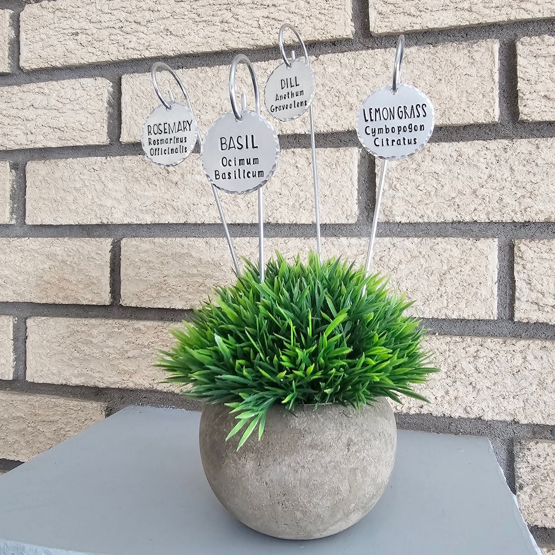 Potted Herb Markers Set of 4, Herb Garden Stakes With Common and ...