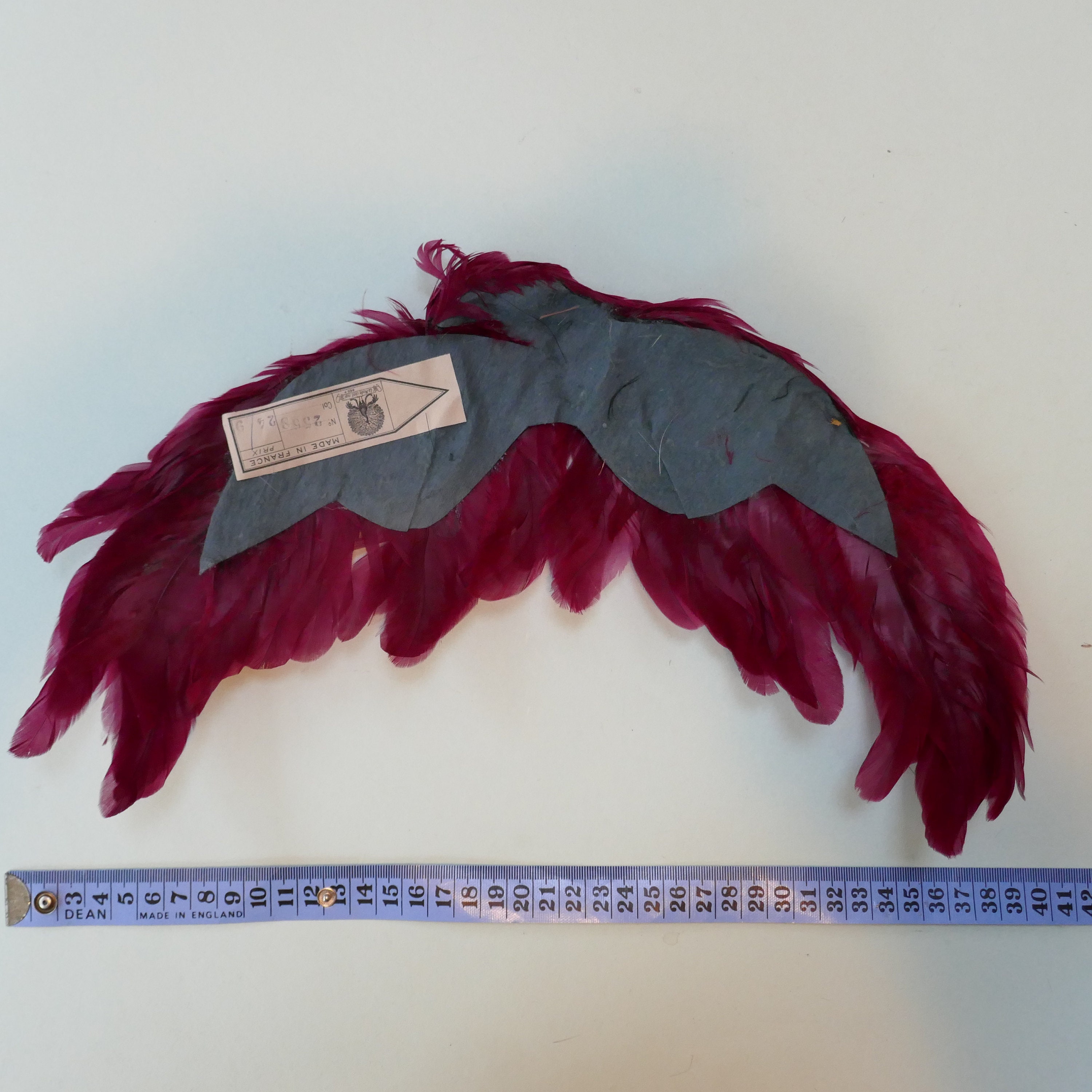 Ex-large Early 20th Century Vintage Wine Goose Feather WING - Etsy