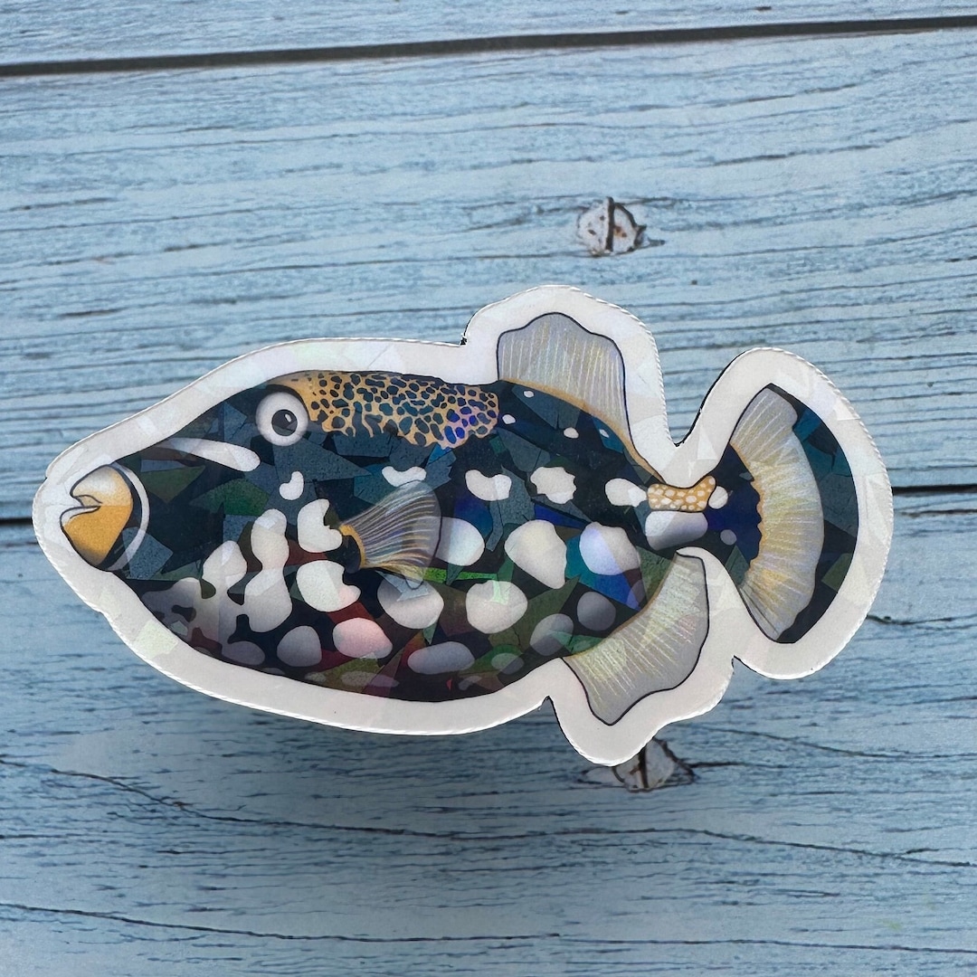 Magnet Tropical Fish Magnet Clown Triggerfish Magnet - Etsy