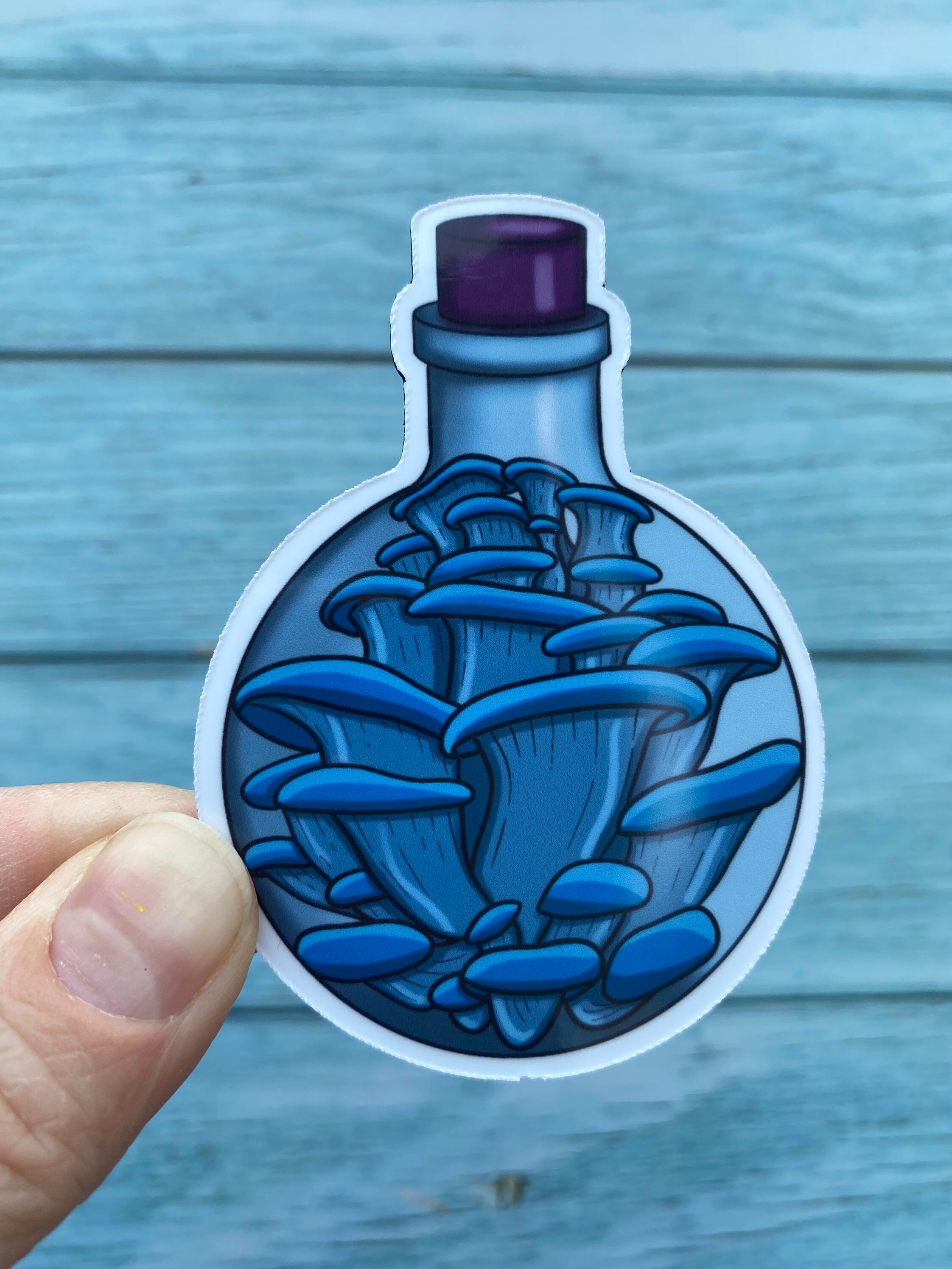 Magnet Magnetic Potion Bottle Decorative Magnet, Mushroom Magnet ...