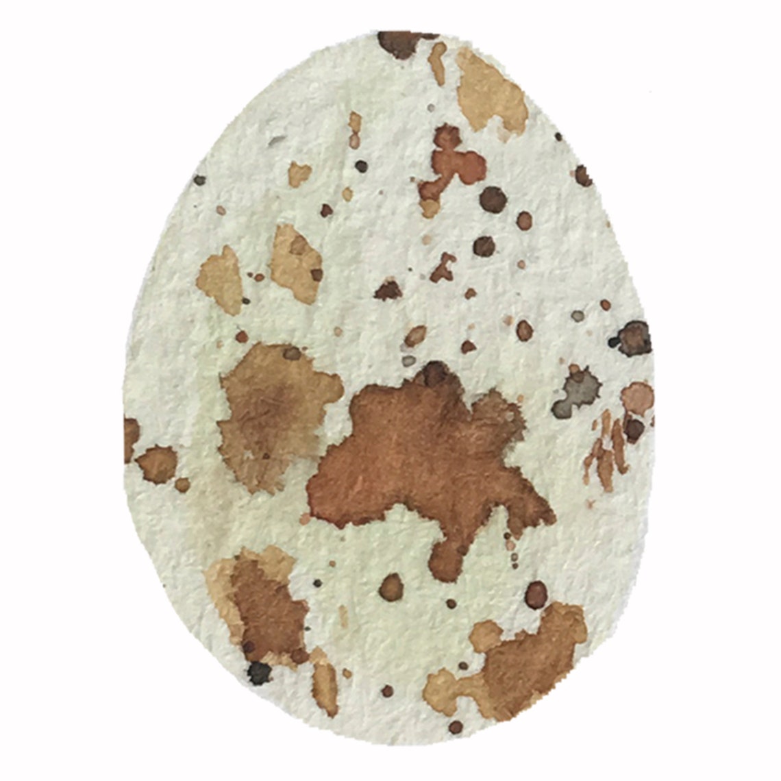 Watercolor Quail Eggs, Clip Art, Realistic Hand Painted, Easter Holiday ...