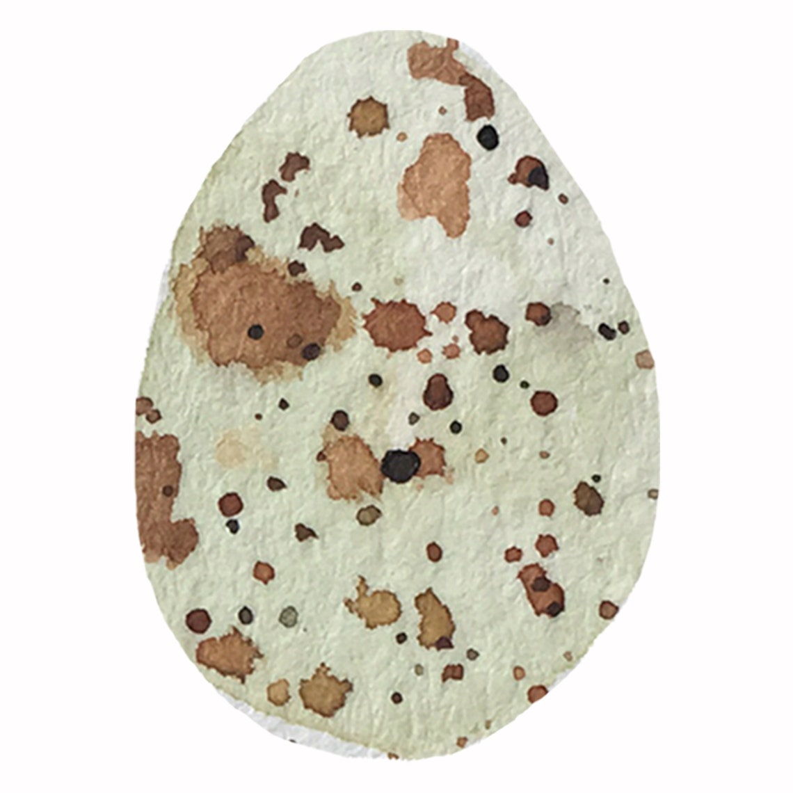 Watercolor Quail Eggs, Clip Art, Realistic Hand Painted, Easter Holiday ...