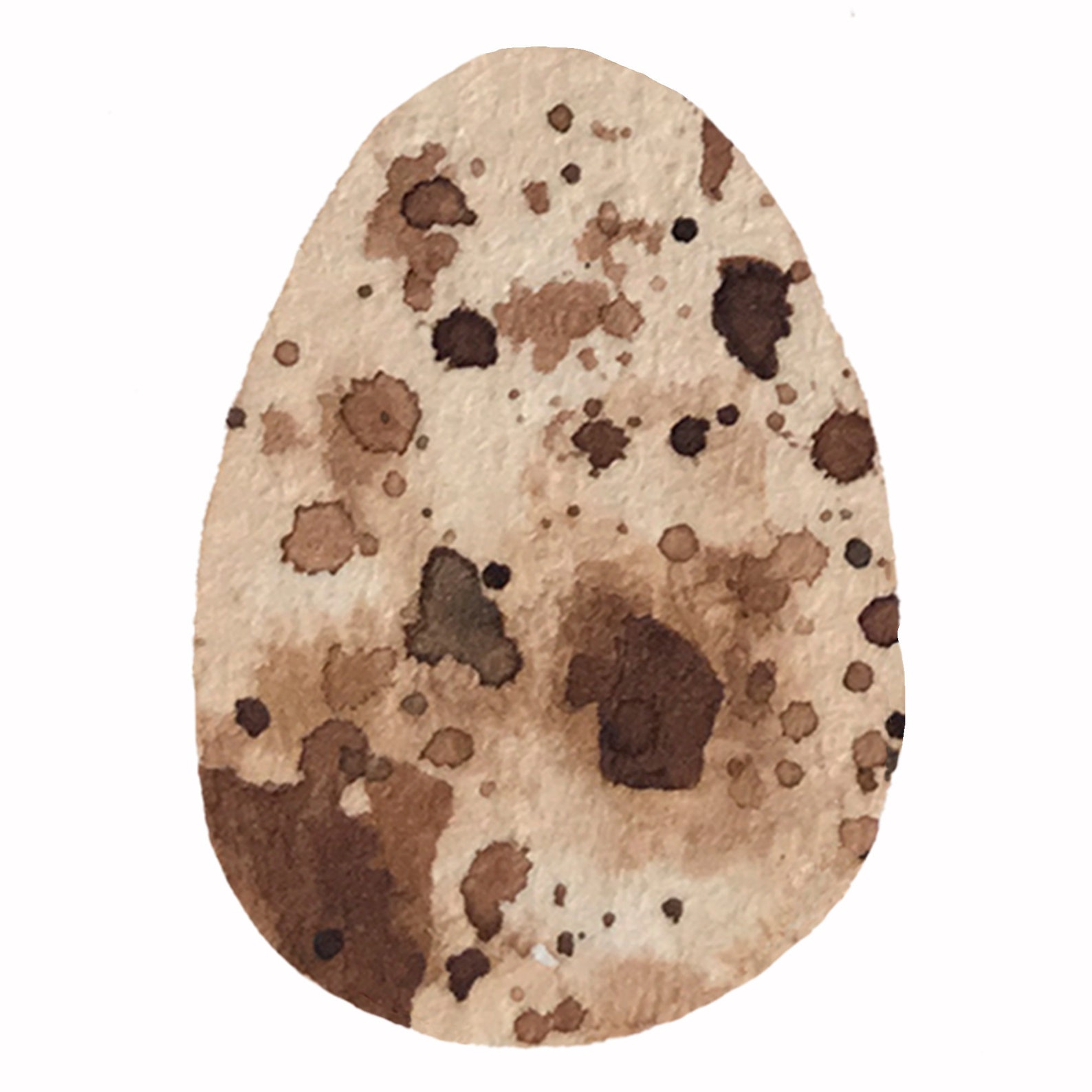Watercolor Quail Eggs, Clip Art, Realistic Hand Painted, Easter Holiday ...