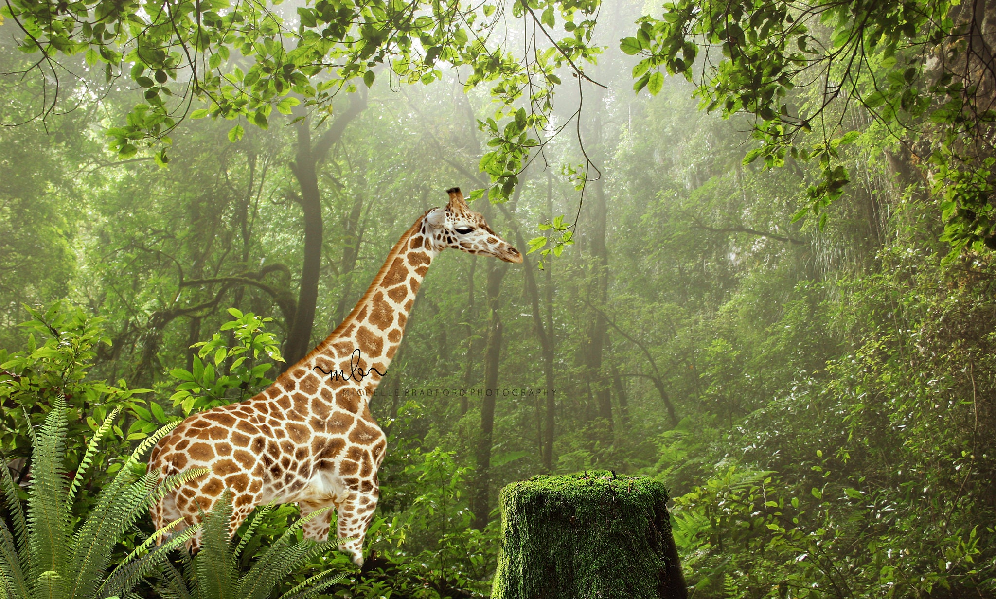 Forest lovely giraffe комод пеленальный - 91 фото