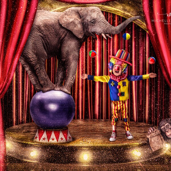 Circus Photography - Etsy