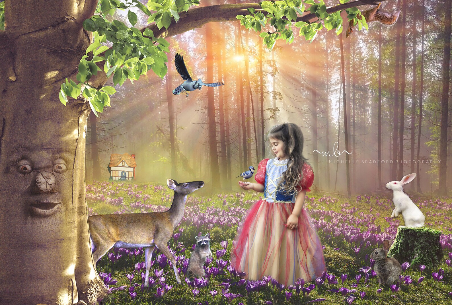 Snow White Inspired Digital Background , Backdrop for Photography ...