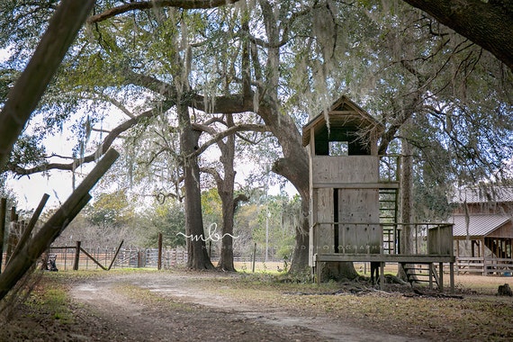 Tree House Digital Background | Etsy