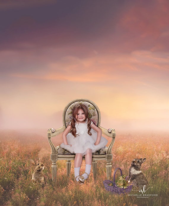 2 Digital Backgrounds. Floral Chair in Field of Flowers. | Etsy UK