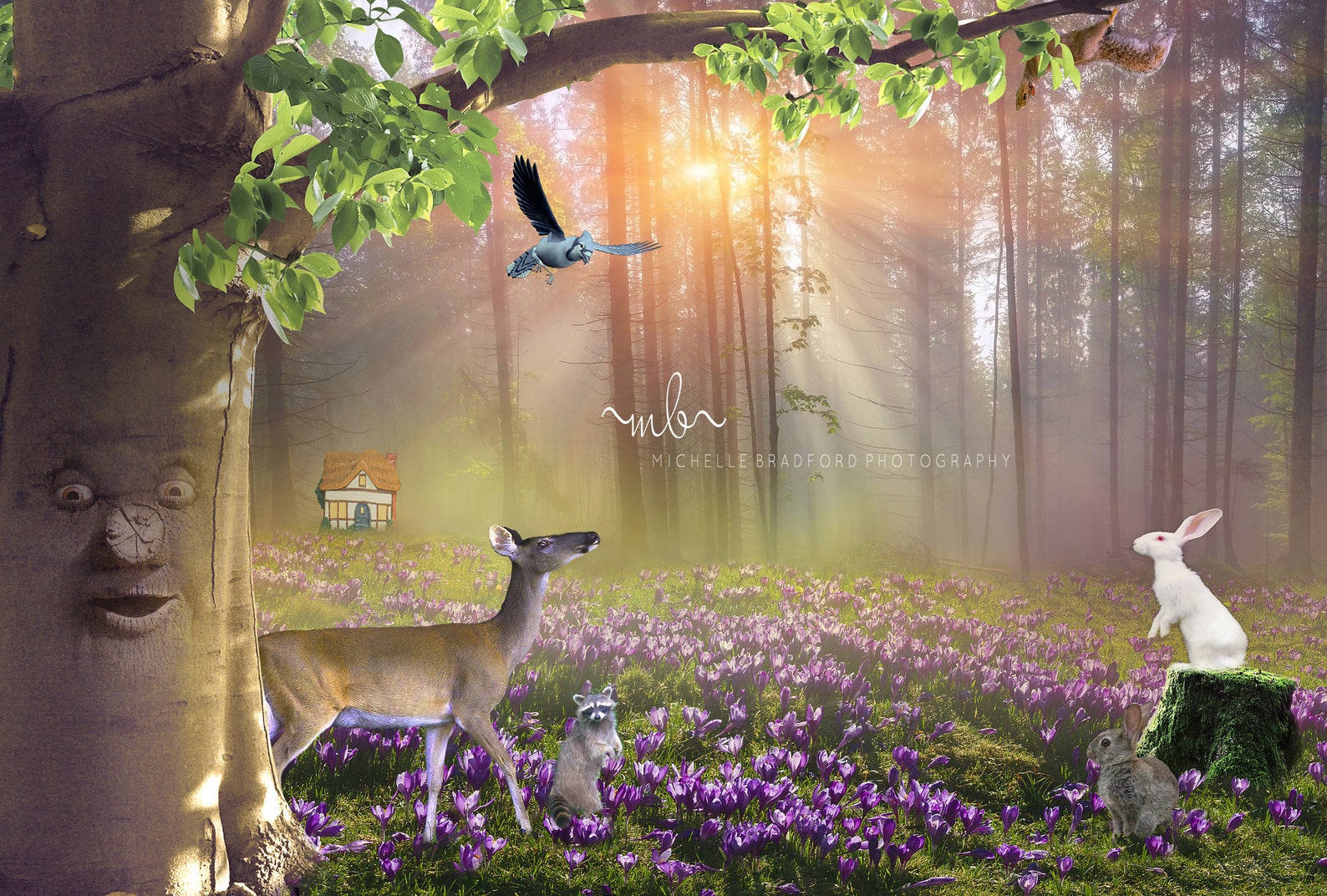 Snow White Inspired Digital Background , Backdrop for Photography ...