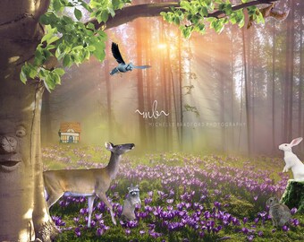 Snow White Backdrop - Etsy