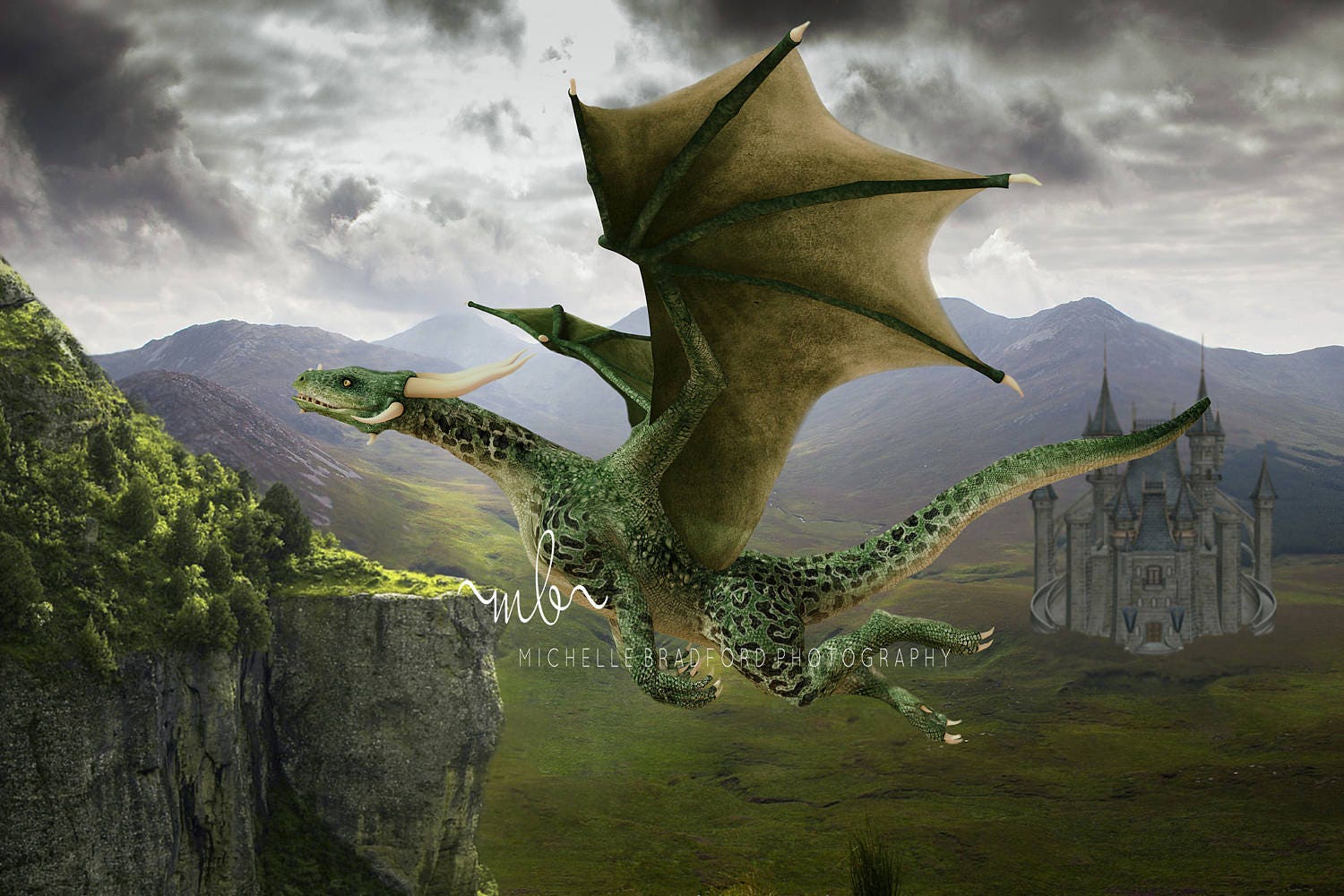 Medieval Flying Dragon Drawings