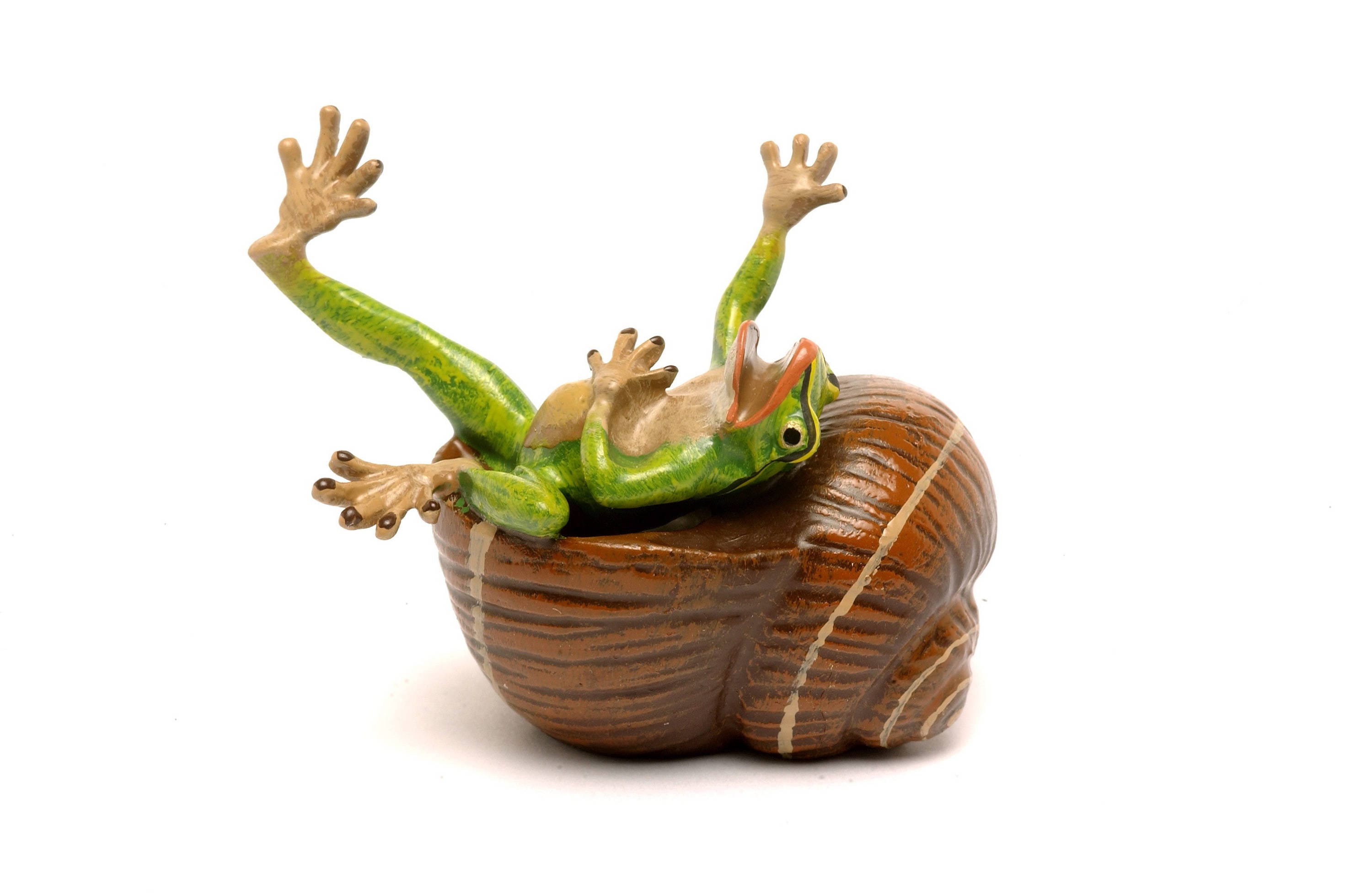 Frog in Snail-shell • A 1003 • Fritz Bermann® • Vienna Bronzes Since ...