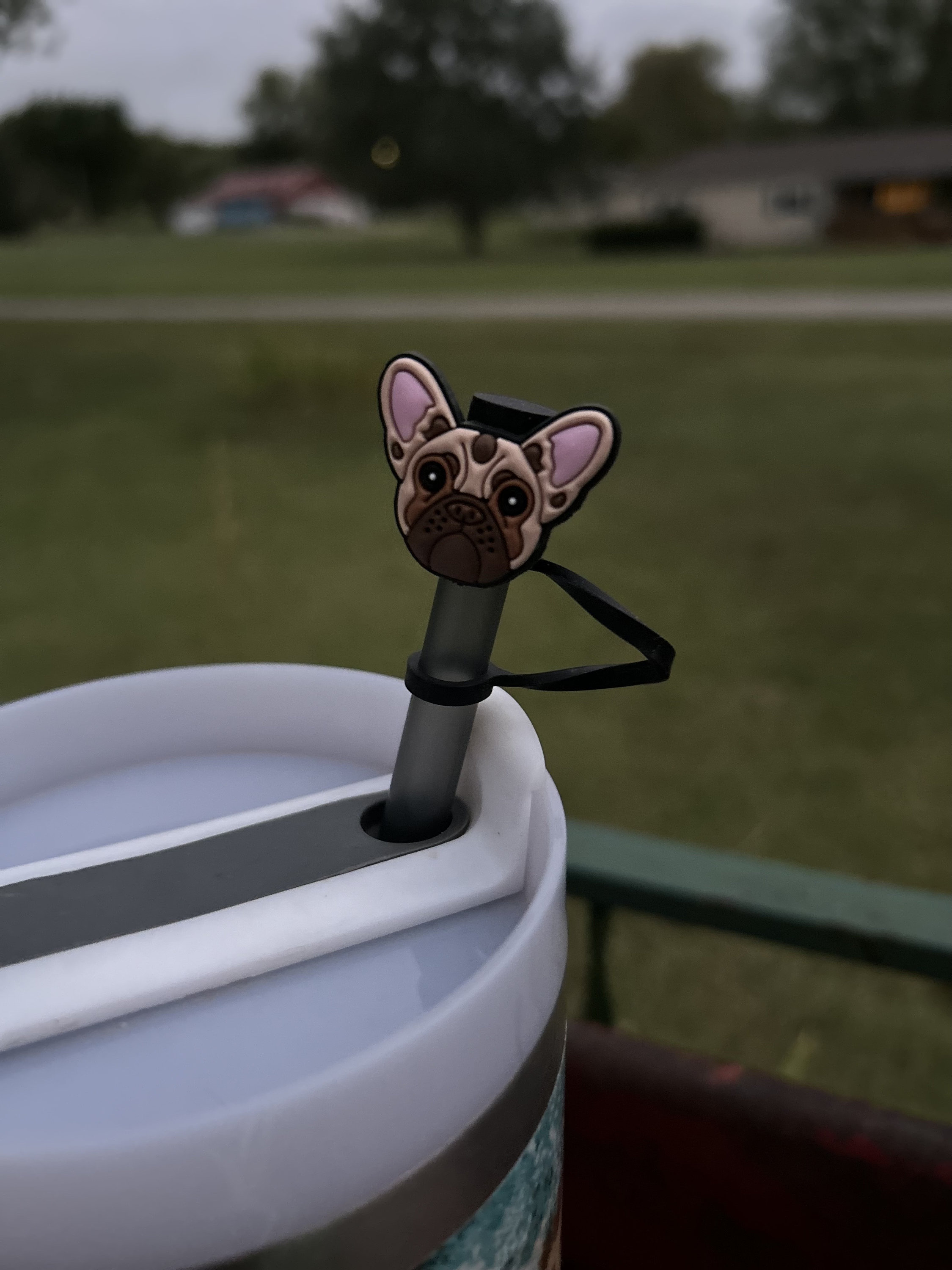Frenchie Dog Straw Topper - Etsy