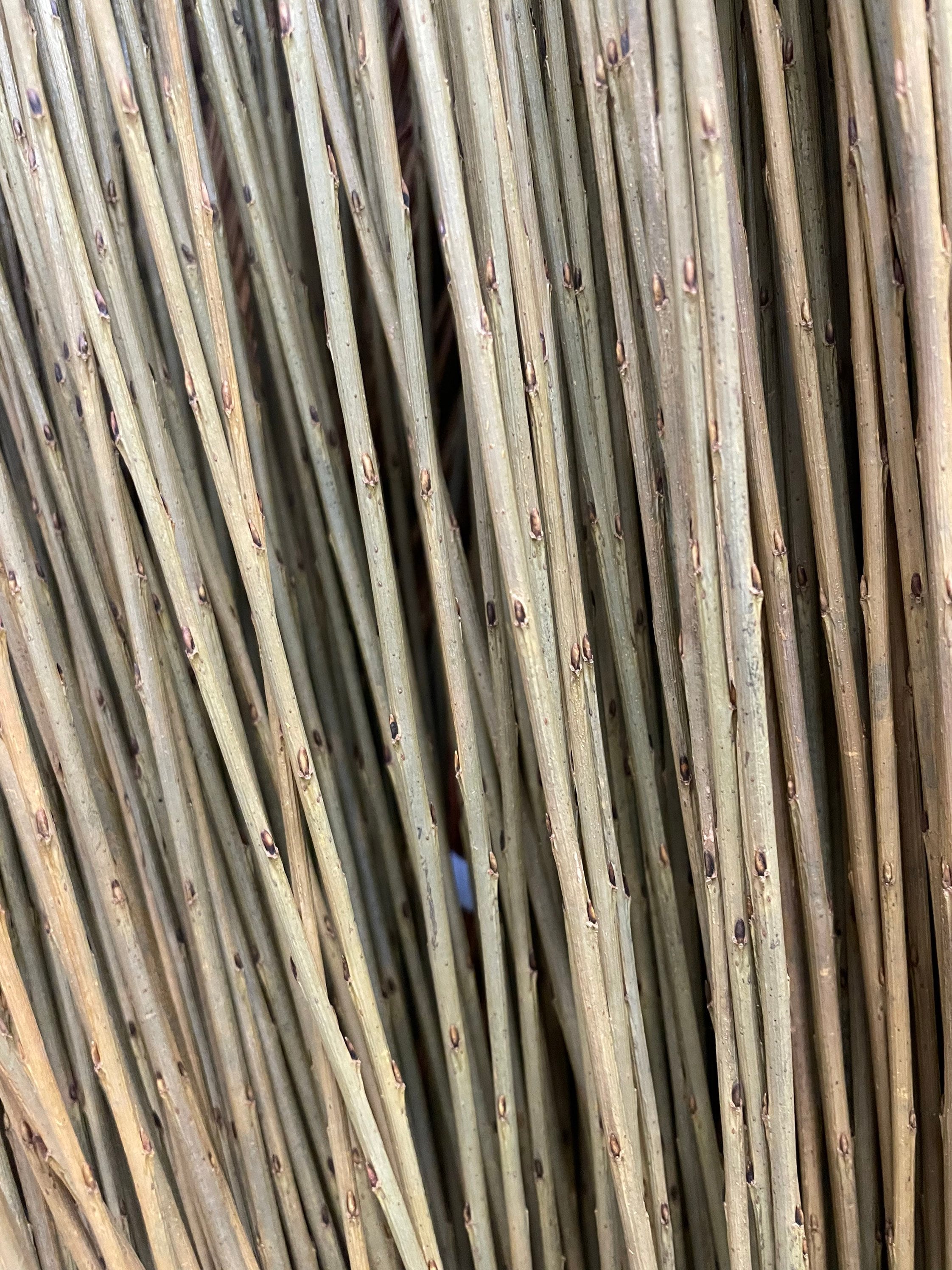 Willow Craft Kit Reindeer Llama Make at Home Kit Willow - Etsy