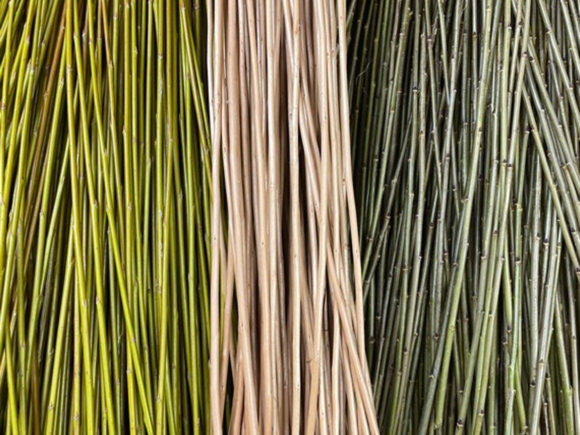 Willow Craft Kit Star Wands X 20 | Make at Home Kit | Willow Weaving ...