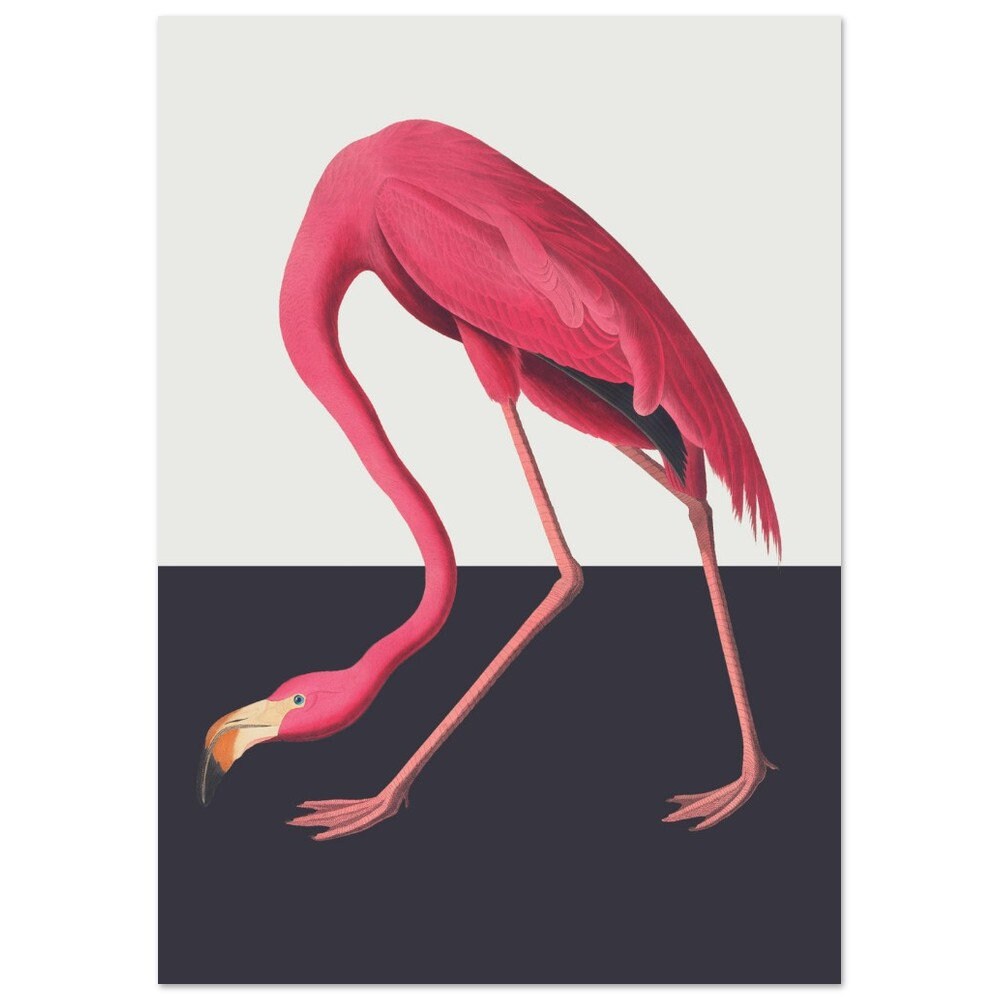 Minimal Modern Black and White Pink Flamingo Stripe Block Graphic Print ...