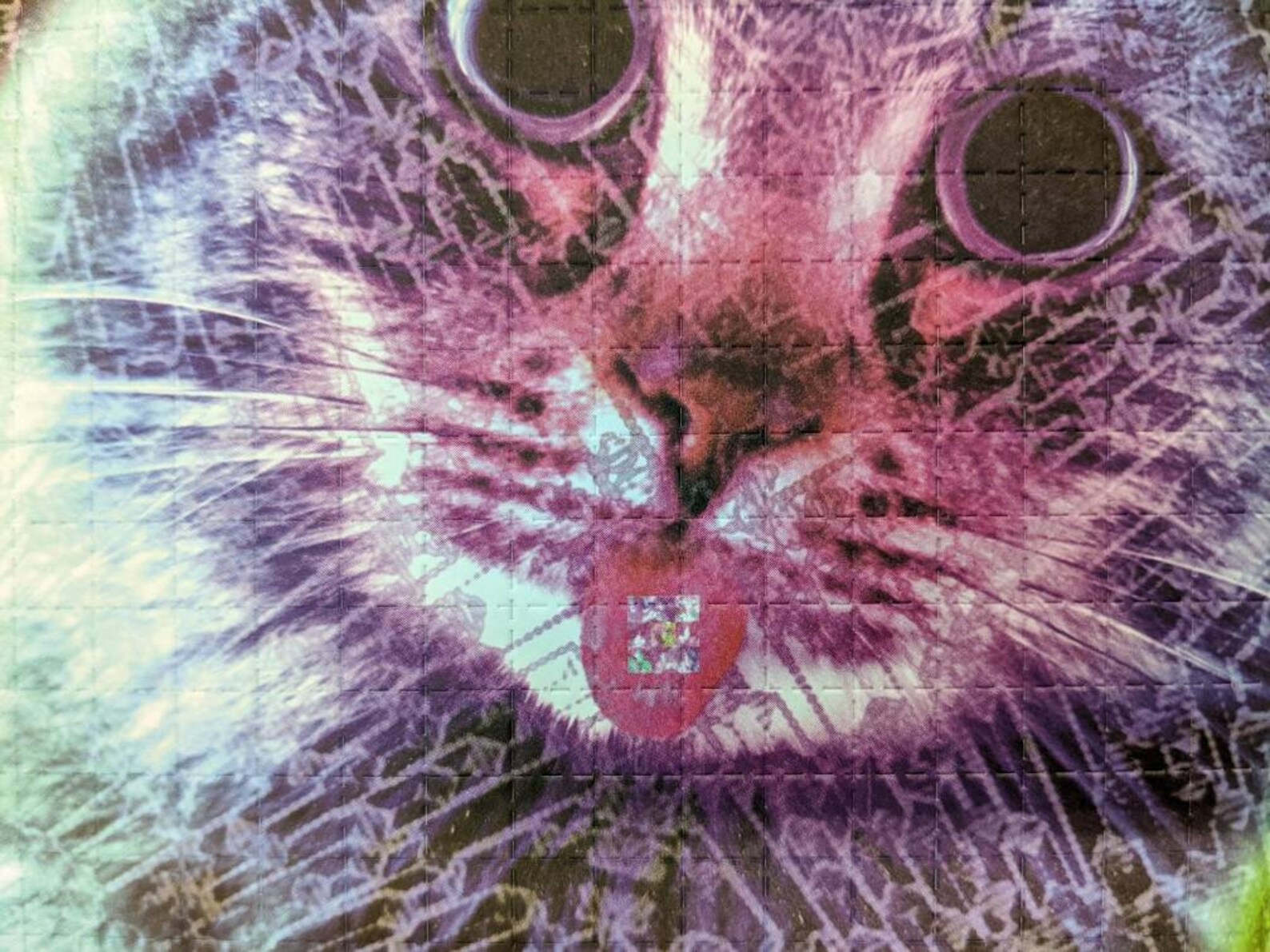 Psychedelic Trippy Kitty Rainbow Blotter Art LSD Art Print - Etsy