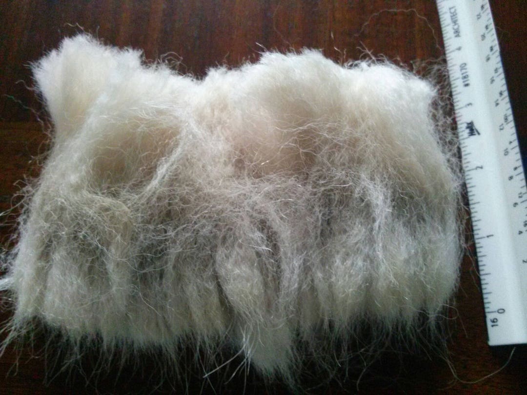 Alpaca Fiber, Huacaya, Raw Beige and Brown. 1 Pound - Etsy