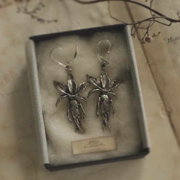 Mandragora - Etsy