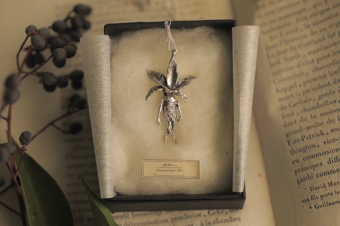 Mandrake - Etsy