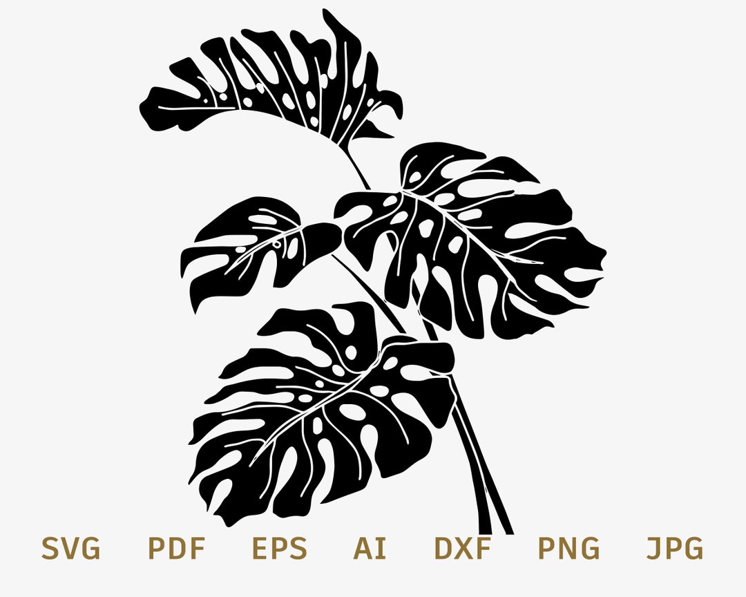 Monstera Art Design Beautiful Leaves Artwork Image Floral Vector Svf ...