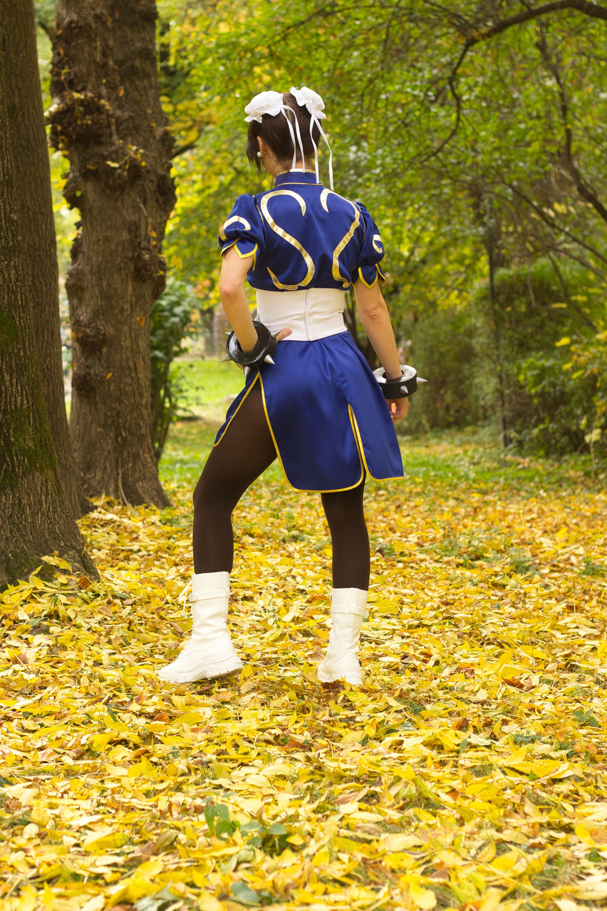 CHUN LI Cosplay Costume From Street Fighter. Adult Costume for ...