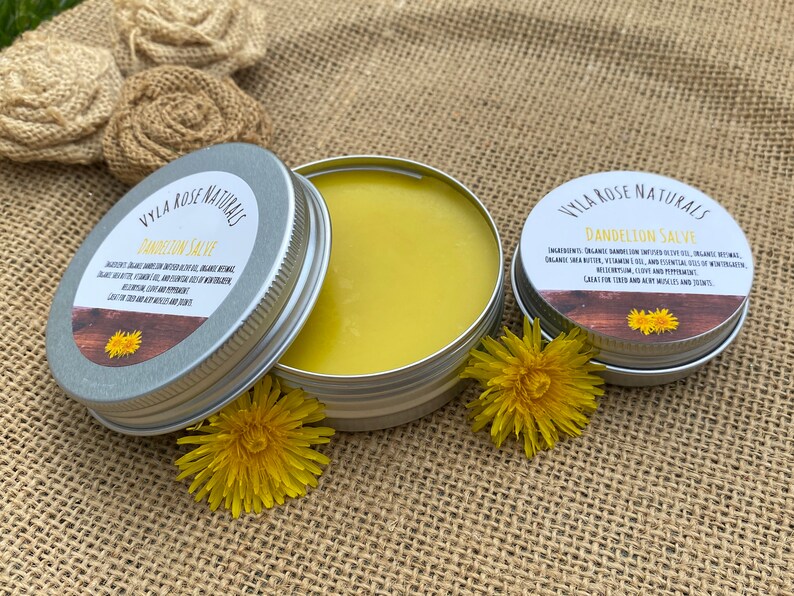 Dandelion Pain Salve - Etsy