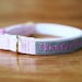 Minimal Pink Personalized Cat Collar Stylish Pink Cat Collar - Etsy