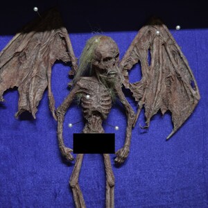 Preserved Fairy Remains - Etsy