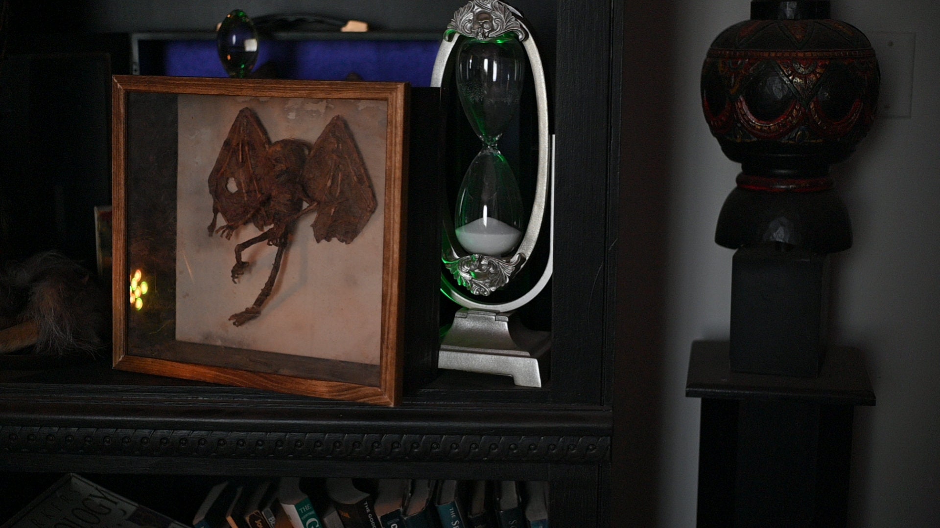 Preserved Fairy Remains - Etsy