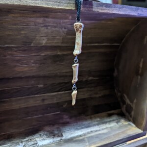 Human Finger Bone Necklace - Etsy
