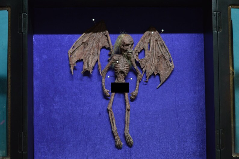 Preserved fairy remains | Etsy