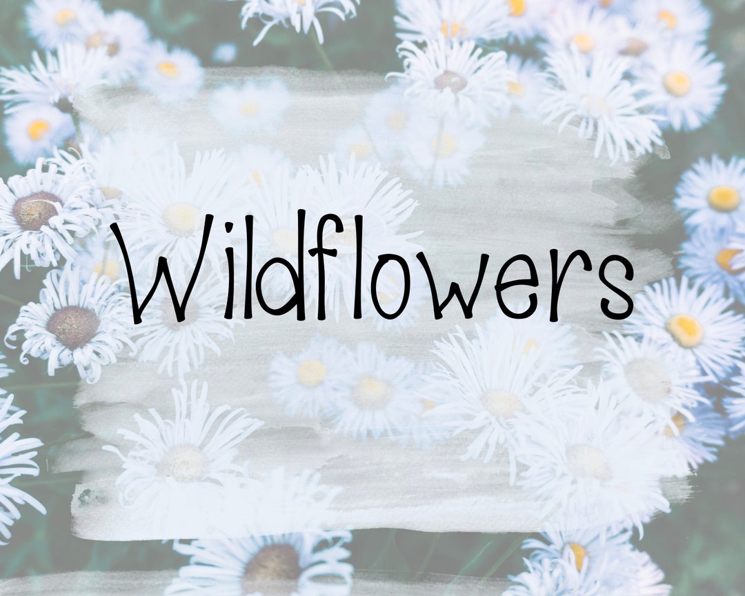 Wildflowers Font, TTF and OTF Font Download, Handwritten Digital Font ...