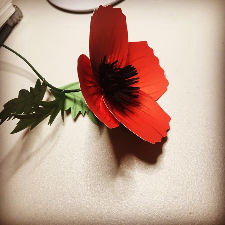 Paper Poppy - Etsy