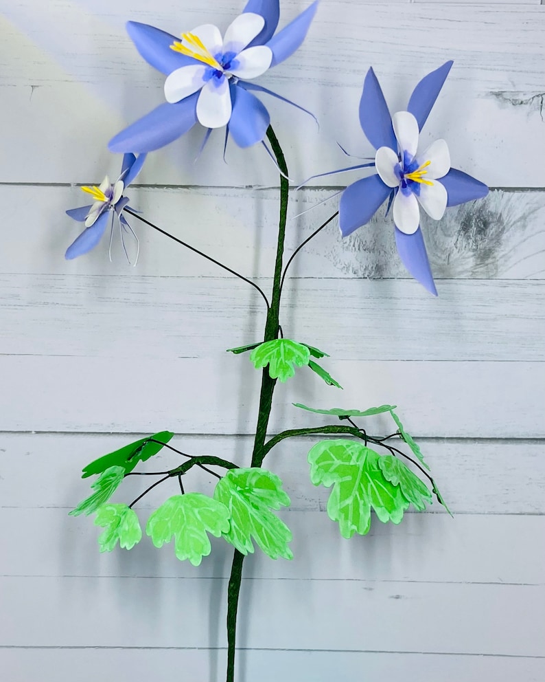 Paper Columbine - Etsy