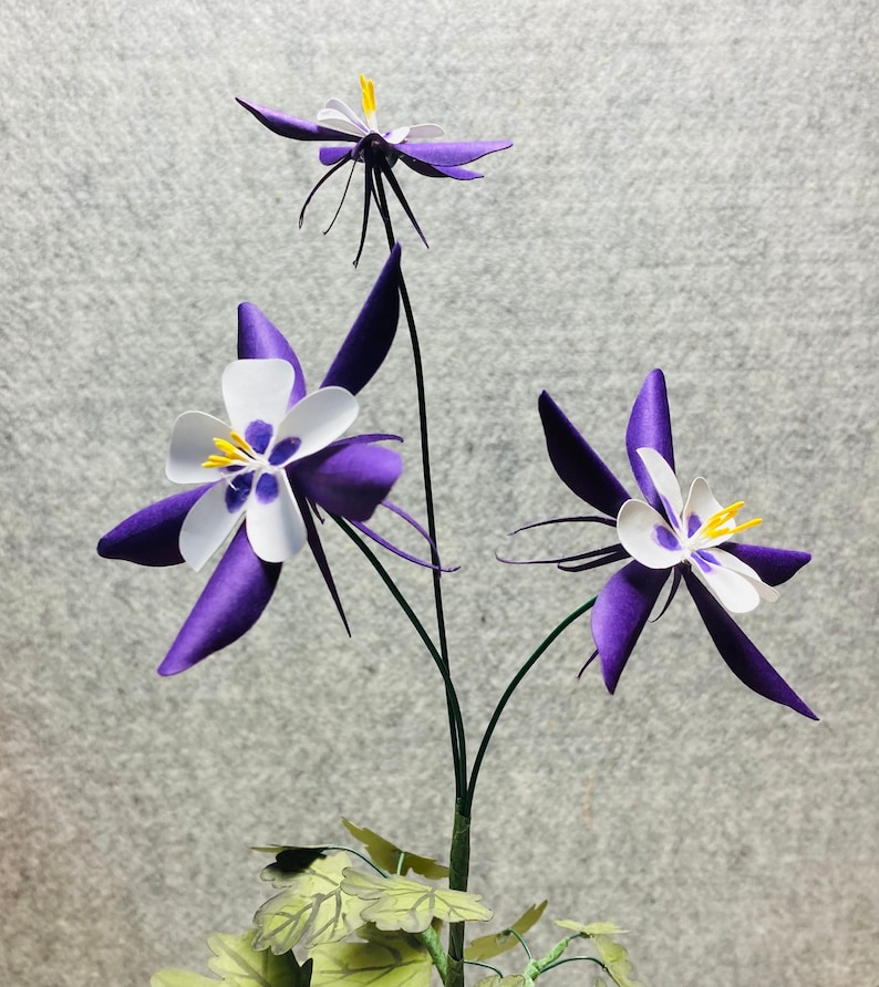 Paper Columbine - Etsy