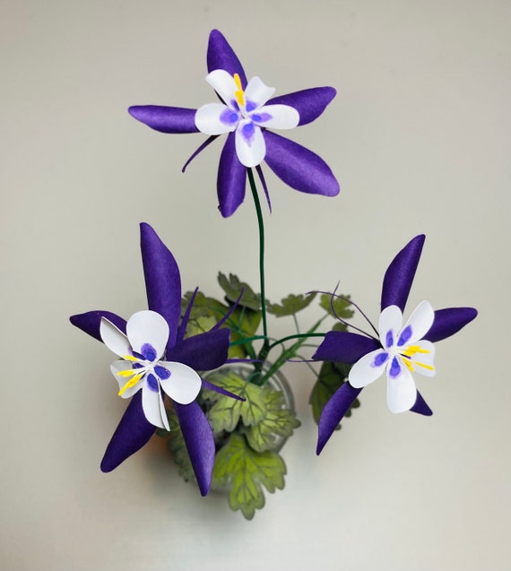 Paper Columbine | Etsy