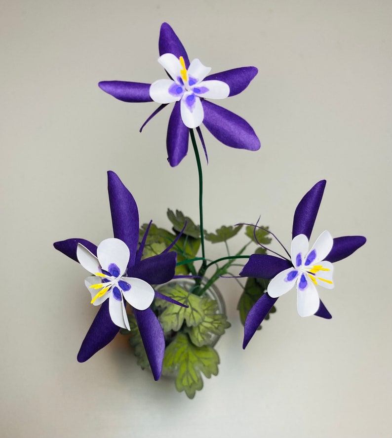 Paper Columbine - Etsy