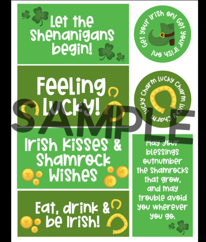 You've Been SHAMROCKED | St. Patrick's Day Leprechaun Secret Gift ...