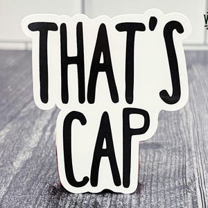 Trendy Gen Alpha Slang Vinyl Sticker Pack | Funny Brain Rot Stickers ...