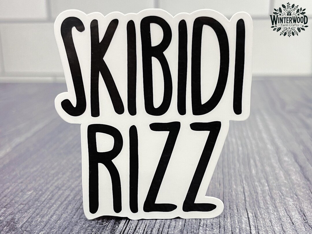 SKIBIDI RIZZ Trendy Gen Alpha Slang Vinyl Sticker 2-pack | Funny Brain ...