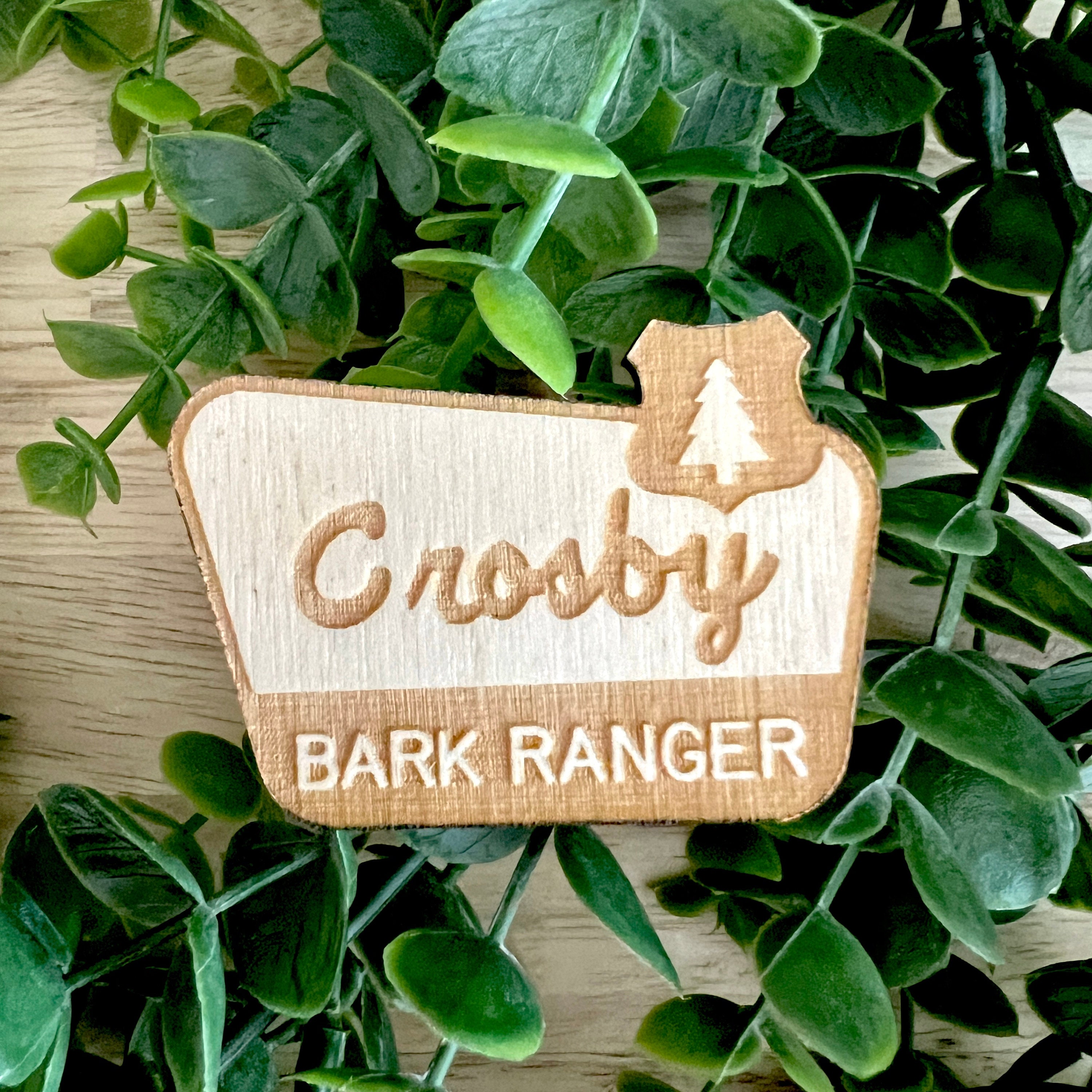 National Park Pin / Bark Ranger Pin / Custom Wooden Pin / National ...