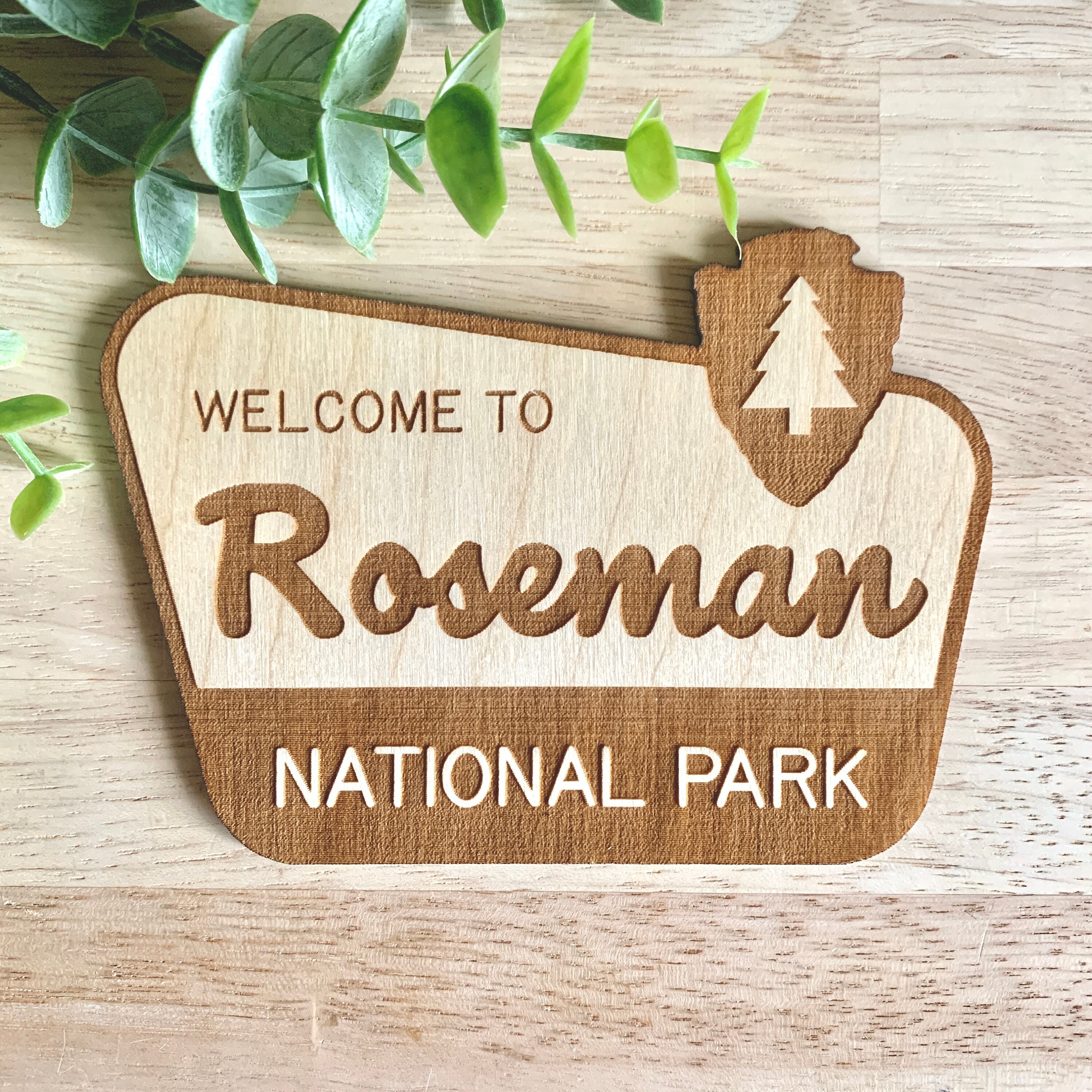 National Park Sign / Baby Name Sign / Last Name Sign / Wooden | Etsy
