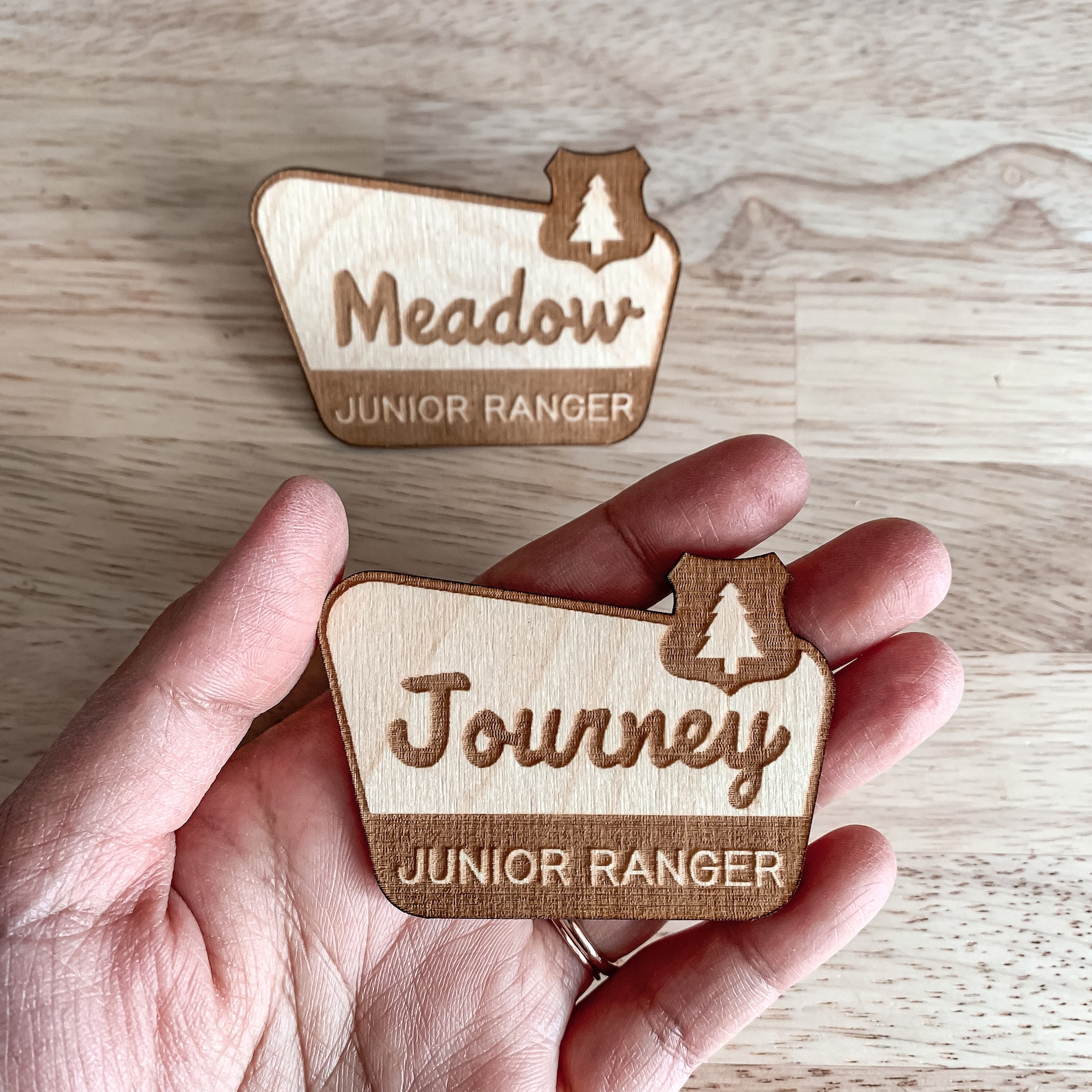 National Park Pin / Junior Ranger Pin / Custom Wooden Pin / | Etsy