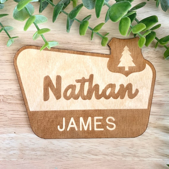 National Park Sign / Baby Name Sign / Last Name Sign / Wooden | Etsy