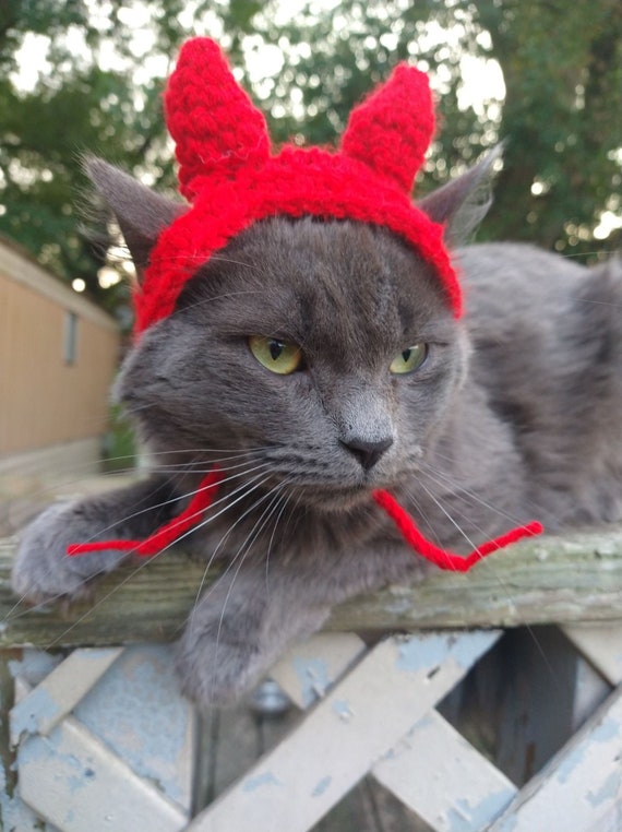 Crochet Devil Horns Headband/hat/costume for Cats and Small - Etsy