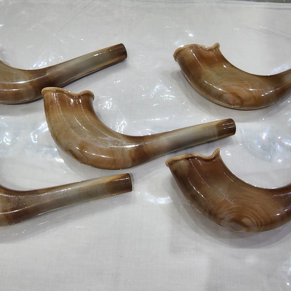 Shofar - Etsy
