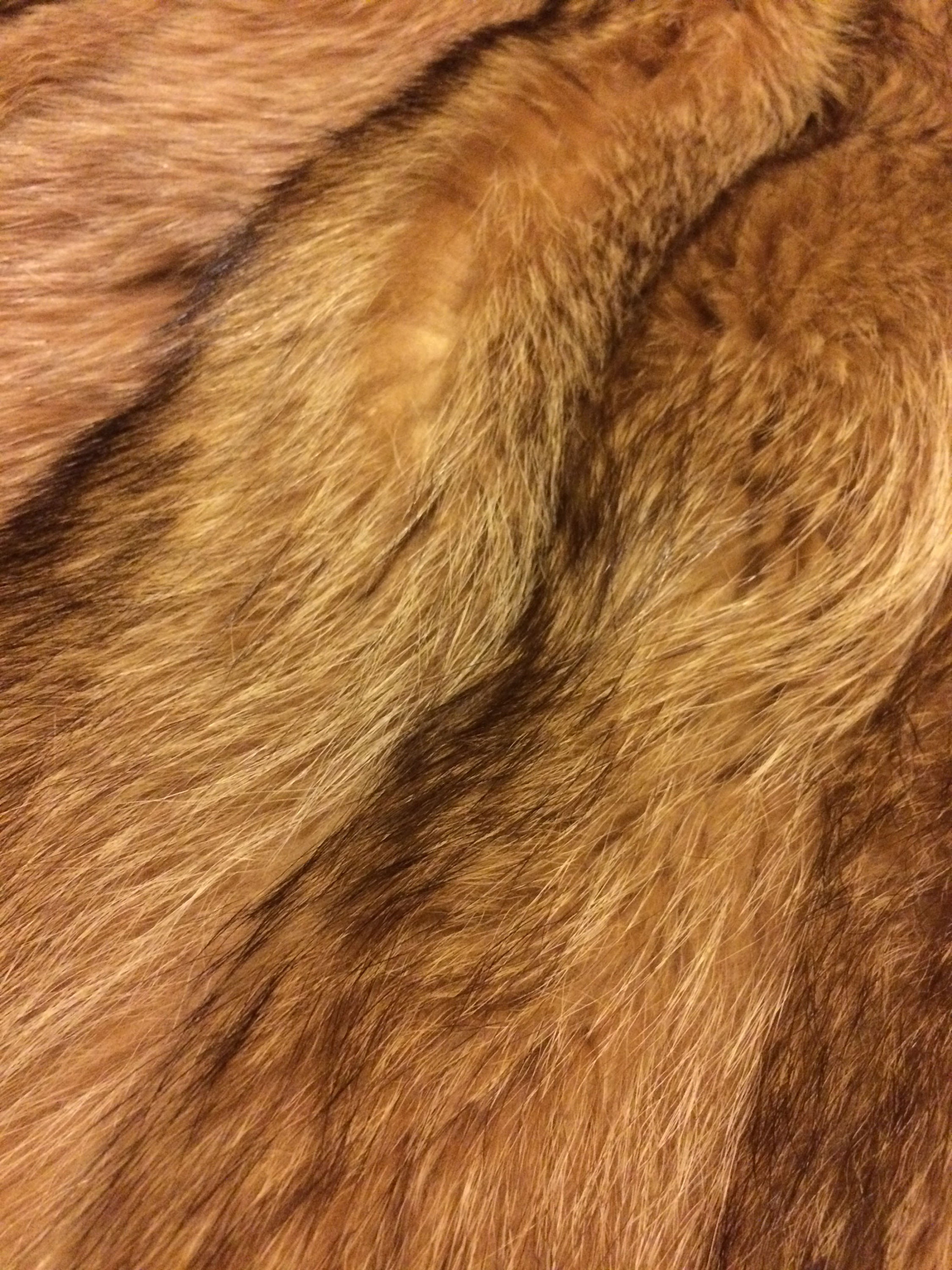 Vintage Ladies Golden Raccoon Fur Coat Full Length - Etsy