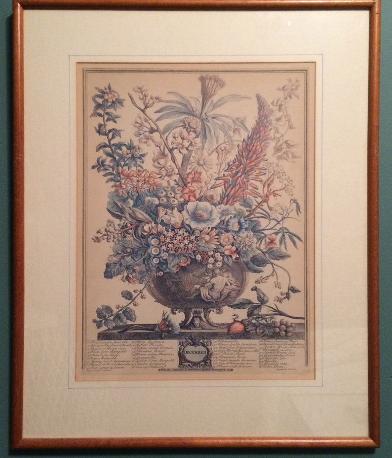 Vintage Robert Furber Gardiner 12 Months of Flowers; November, December ...